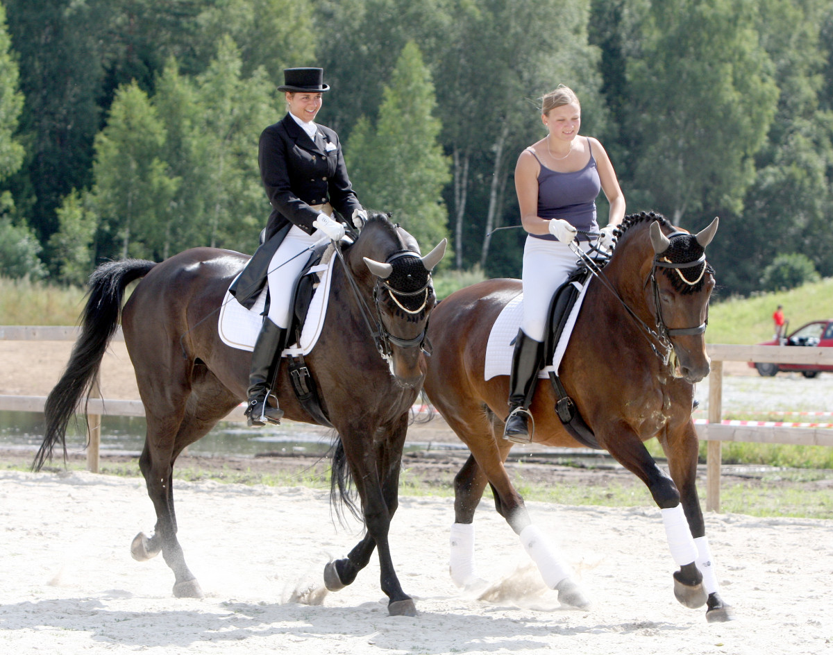 Foto: Skaistas meitenes un zirgi – Citi sporta veidi – Sportacentrs.com