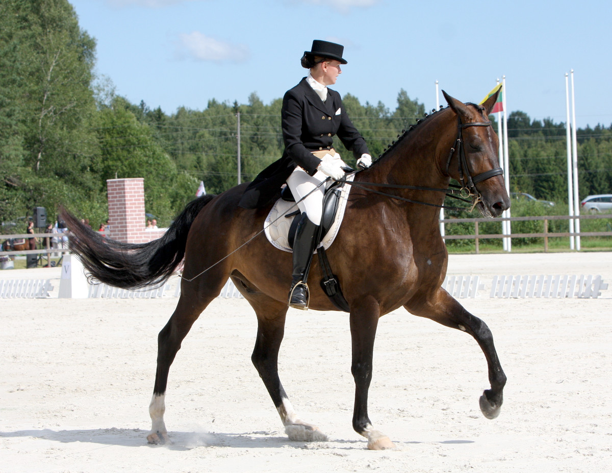 Foto: Skaistas meitenes un zirgi – Citi sporta veidi – Sportacentrs.com