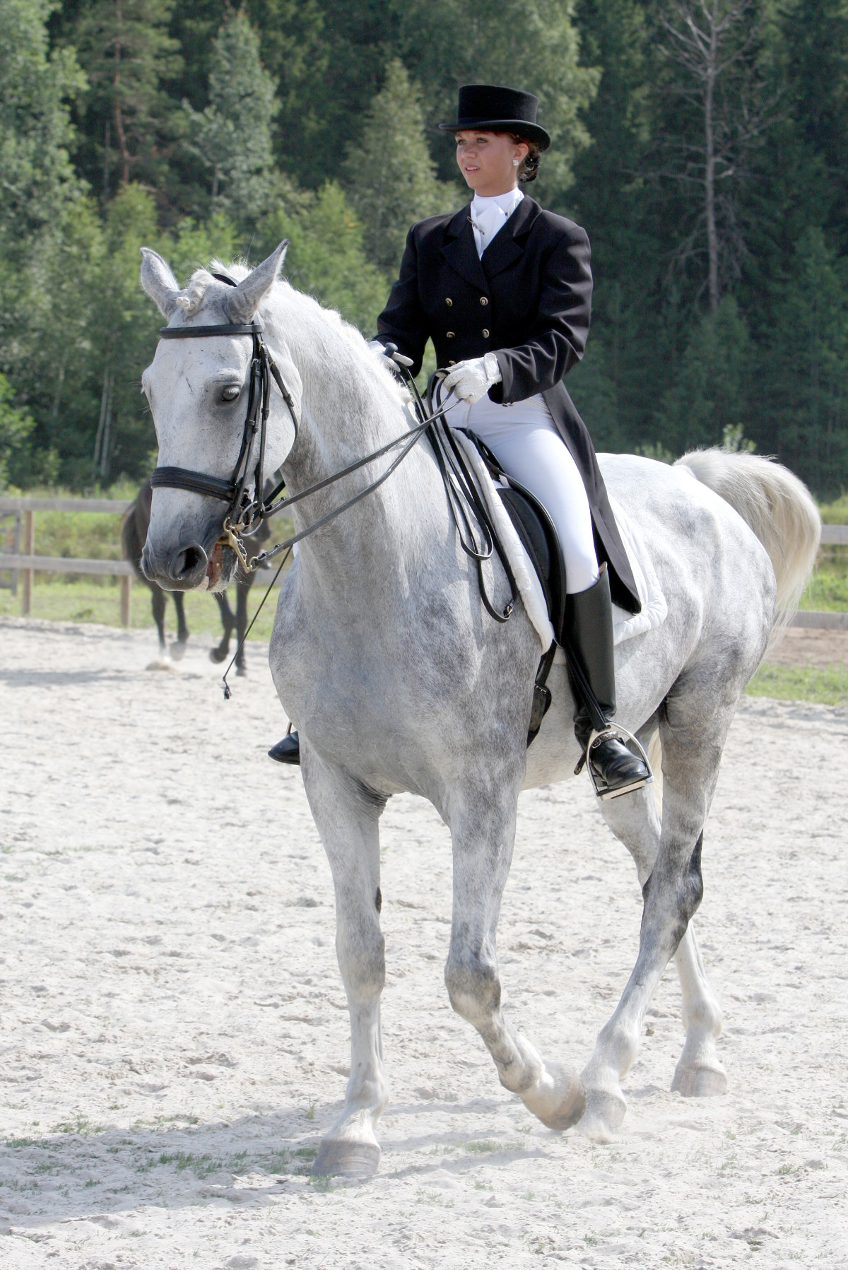 Foto: Skaistas meitenes un zirgi – Citi sporta veidi – Sportacentrs.com