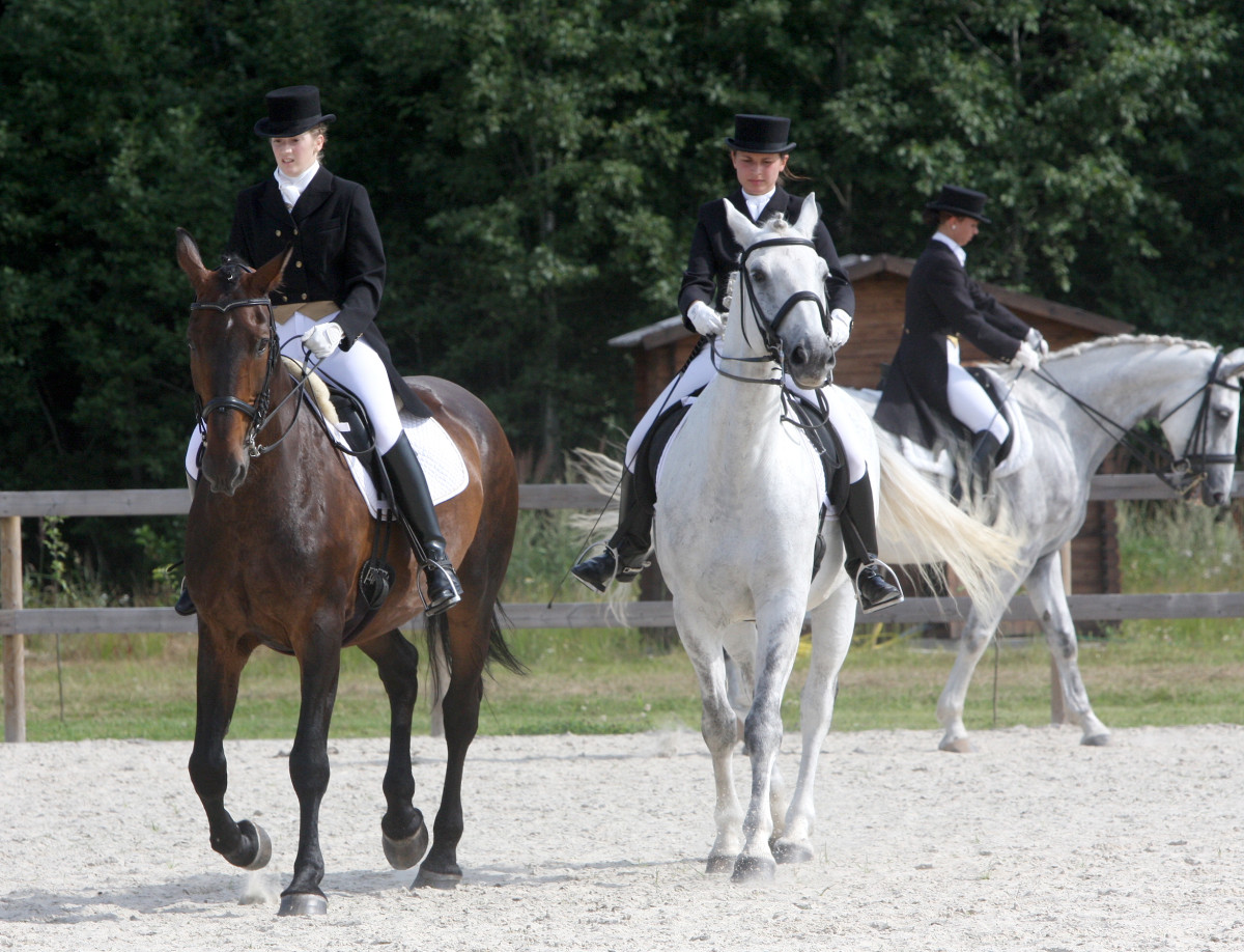 Foto: Skaistas meitenes un zirgi – Citi sporta veidi – Sportacentrs.com